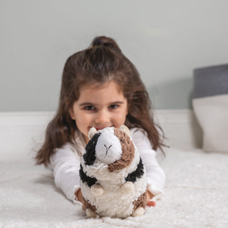 Putty Gizmo Guinea Pig – Perrefitte